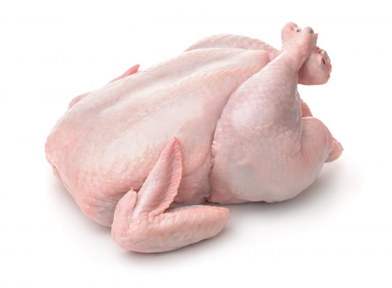 AVIAN MUSCULAR SYSTEM – Small and backyard poultry